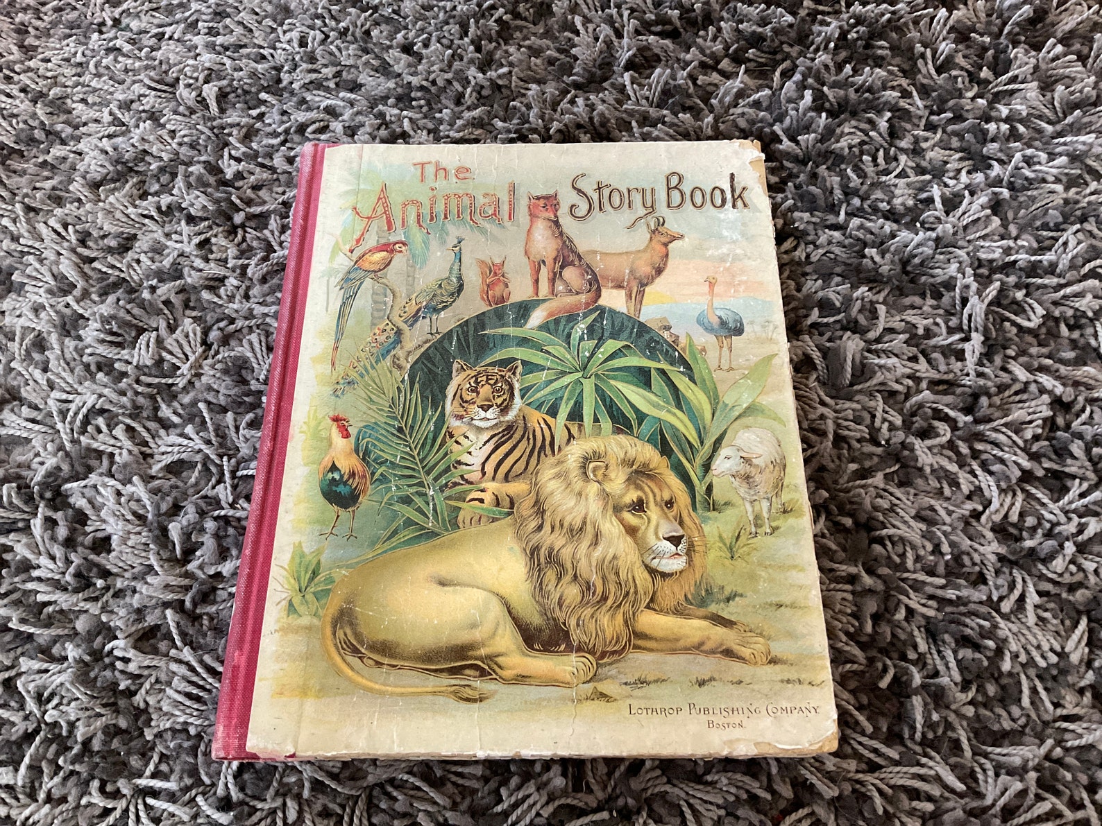1898 the Animal Story Book by Maud Howe, Et Al - Etsy