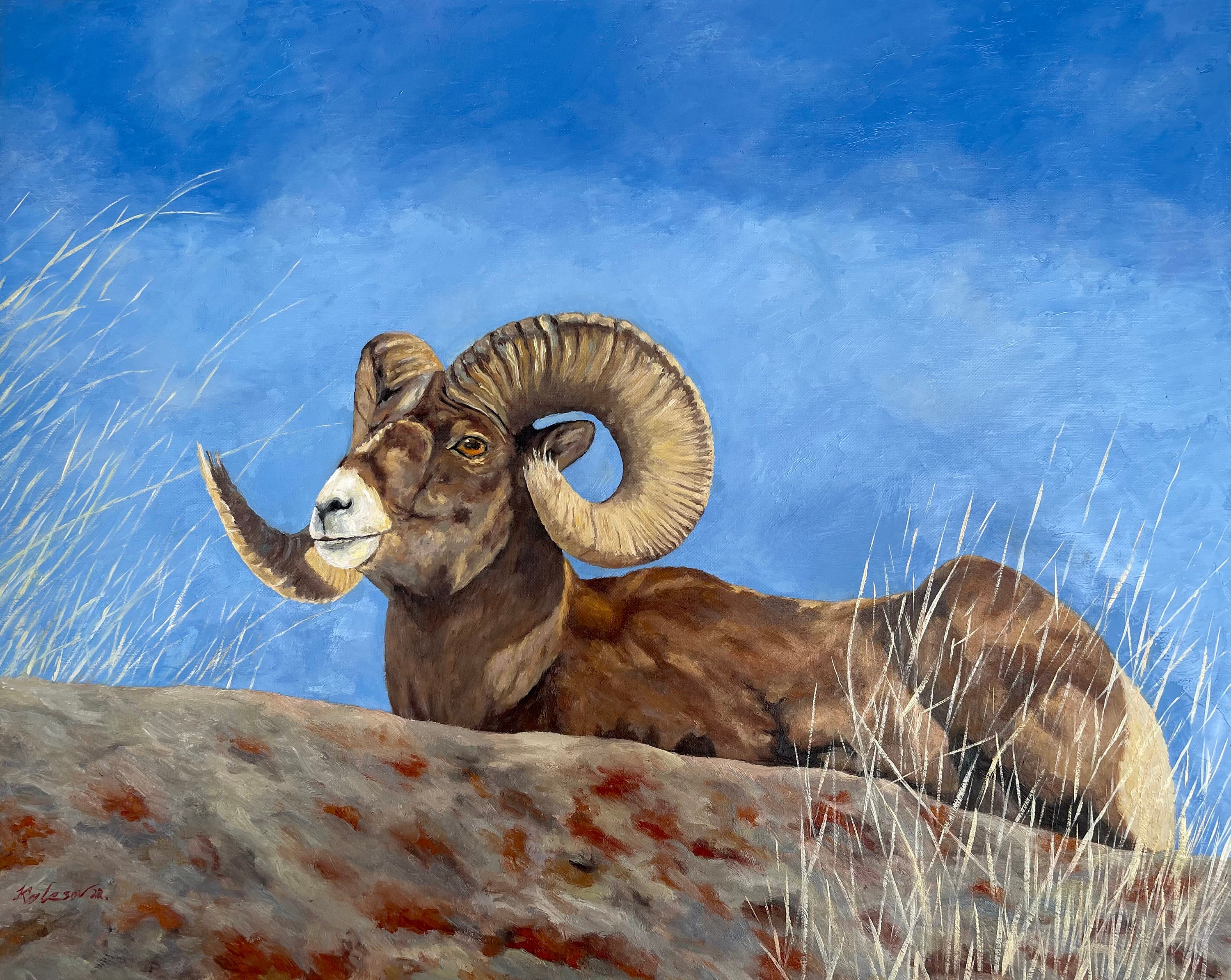 20in Horn Wall Art - Etsy