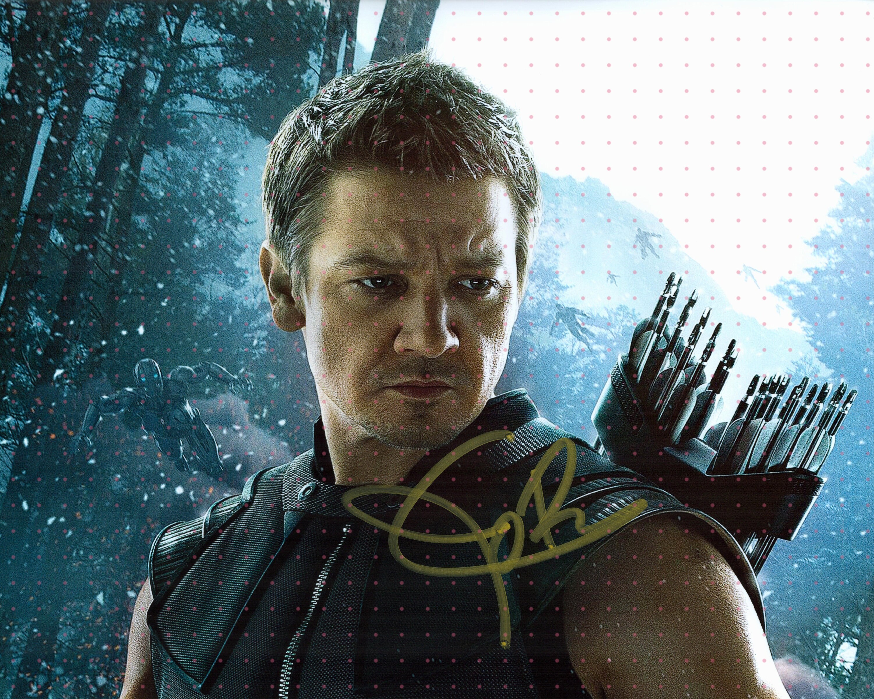 Jeremy Renner signed movie photo Collectibles Art & Collectibles etna ...