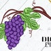 Grapevine Embroidery Design File. Grapes Hanging From a Vine Pattern to ...