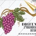 Grapevine Embroidery Design File. Grapes Hanging From a Vine Pattern to ...