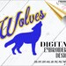 Wolves Mascot School Logo Embroidery Design. Template to - Etsy