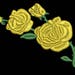 Roses Machine Embroidery Design for Western Shirt. Back and Shoulder ...