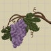 Grapevine Embroidery Design File. Grapes Hanging From a Vine Pattern to ...