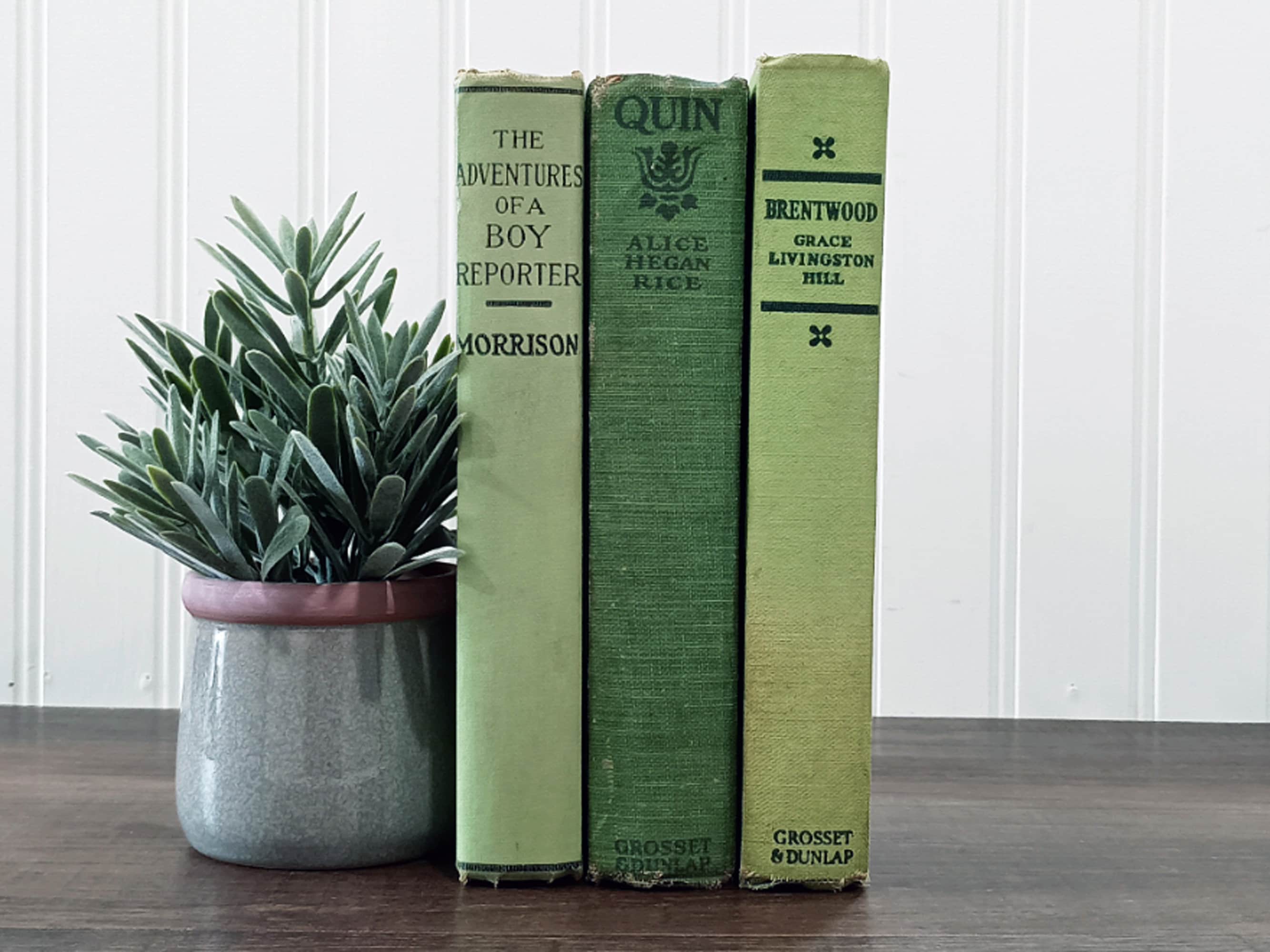 Vintage Green Books, Set of 3 Old Green Books, Green Home Decor, Old ...