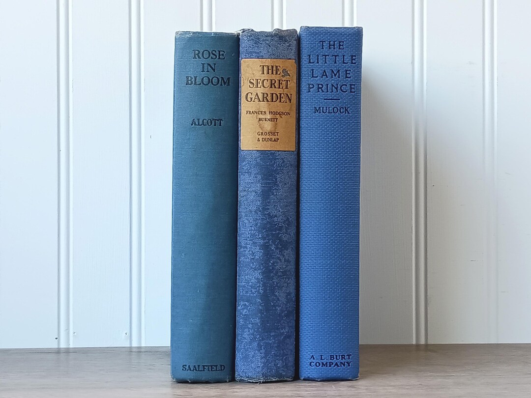 Vintage Blue Books, the Secret Garden Book, Set of 3 Old Blue Books ...
