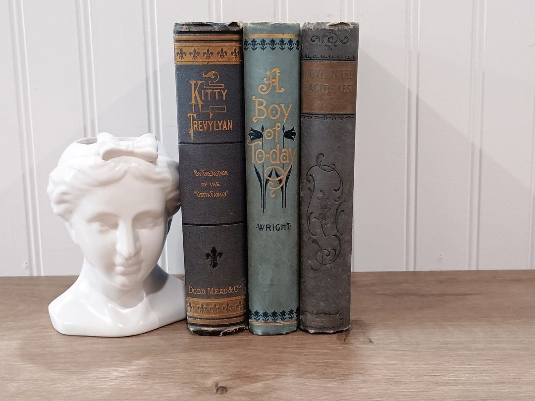 Vintage Blue Books, Set of 3 Old Books, Blue Bookshelf Decor or ...