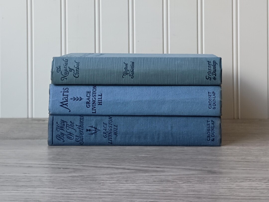 Vintage Blue Books, Set of 3 Old Blue Books, Staging Books, Coastal ...
