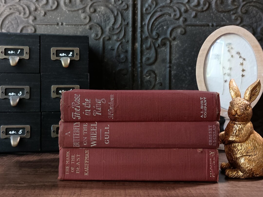 Antique Red Books, Old Red Books, Vintage Bookshelf Decor, Decorative ...