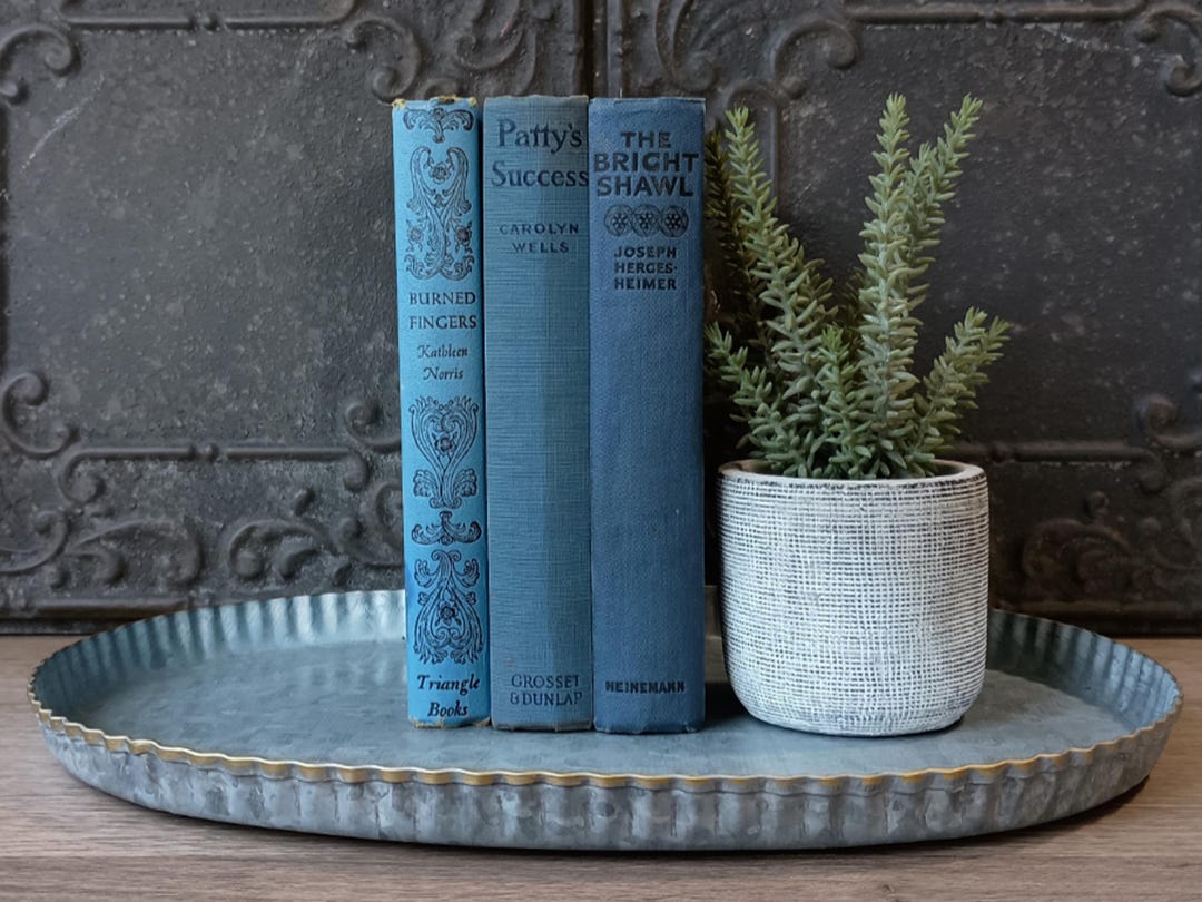 Vintage Blue Books, Set of 3 Old Blue Books, Staging Books, Coastal ...