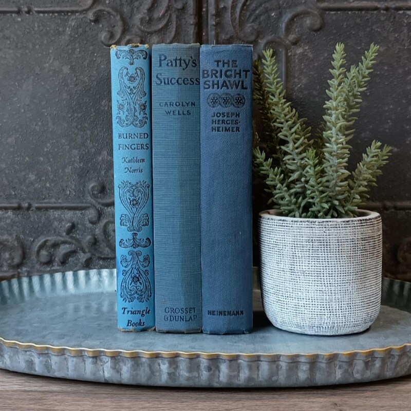 Blue Books - Etsy