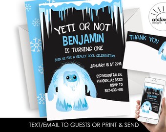 Yeti Birthday Party | Etsy