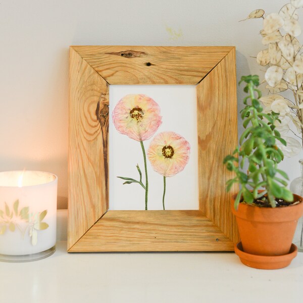 Pink Ranunculus - Etsy