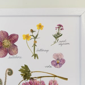 April Dawn | Print Artwork of Pressed Spring Flowers | 100% Cotton Rag ...