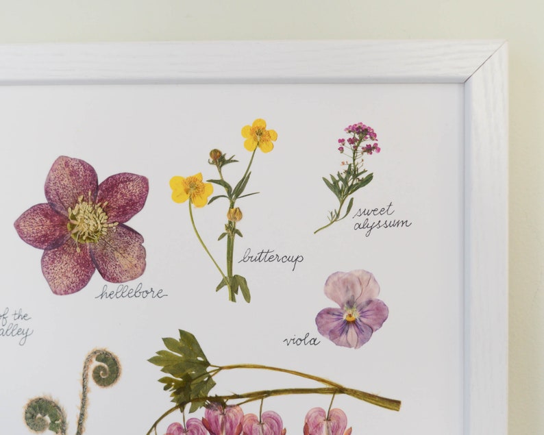 April Dawn Print Artwork of Pressed Spring Flowers 100% - Etsy
