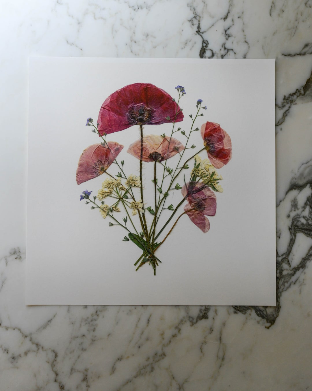 The August Bouquet | Print Artwork of Pressed Flowers | 100% Cotton Rag ...
