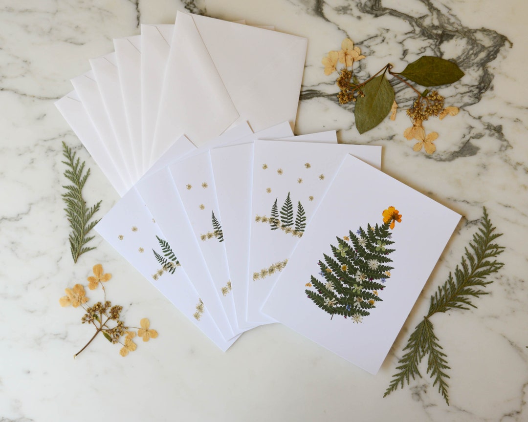 Pressed Flower Holiday | Blank Christmas Greeting Cards With White ...