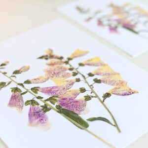 Foxglove Print Reproduction Artwork of Pressed Flowers - Etsy