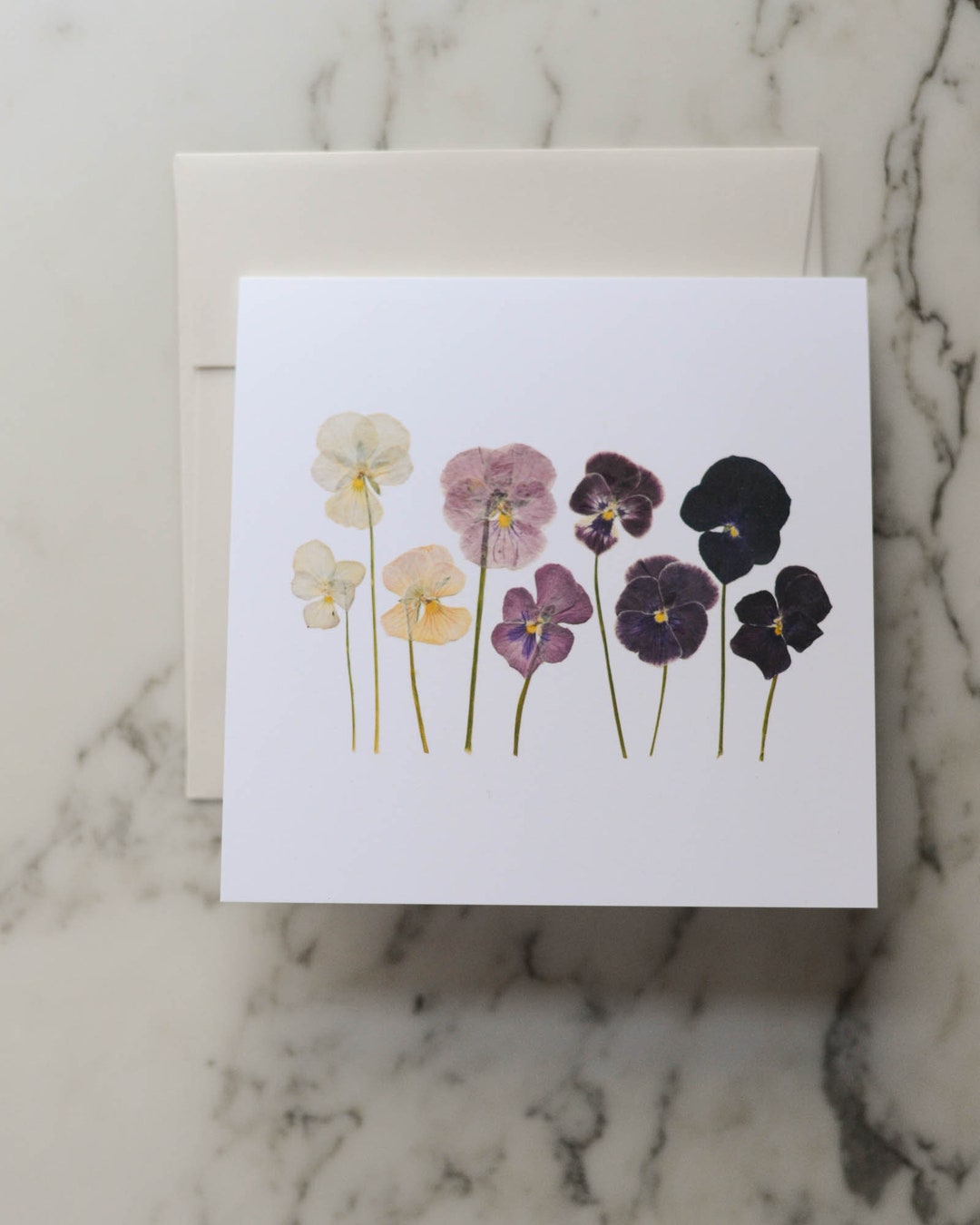 SINGLE Viola Card - Choice of Designs | Blank Greeting Card With ...