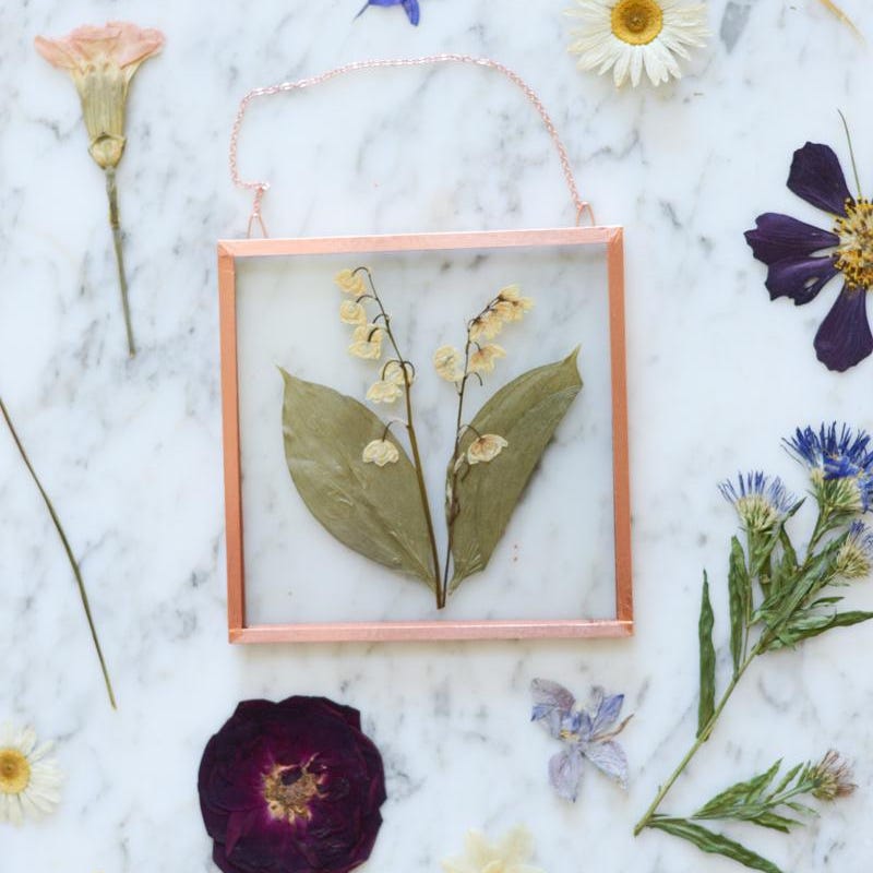 Pressed Lily in Frame - Etsy