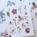 April Dawn | Print Artwork of Pressed Spring Flowers | 100% Cotton Rag ...