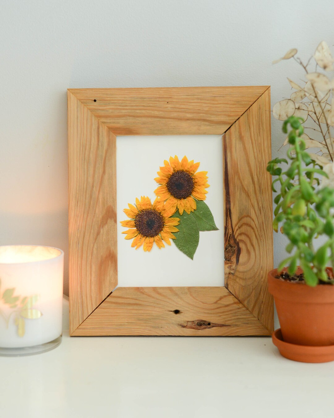 Sunflower, KS State Flower | Print Reproduction Artwork of Pressed ...