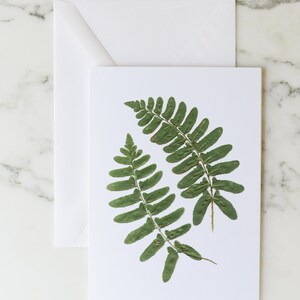 Assorted Ferns | Blank Greeting Cards, Set of Six, With White Linen ...