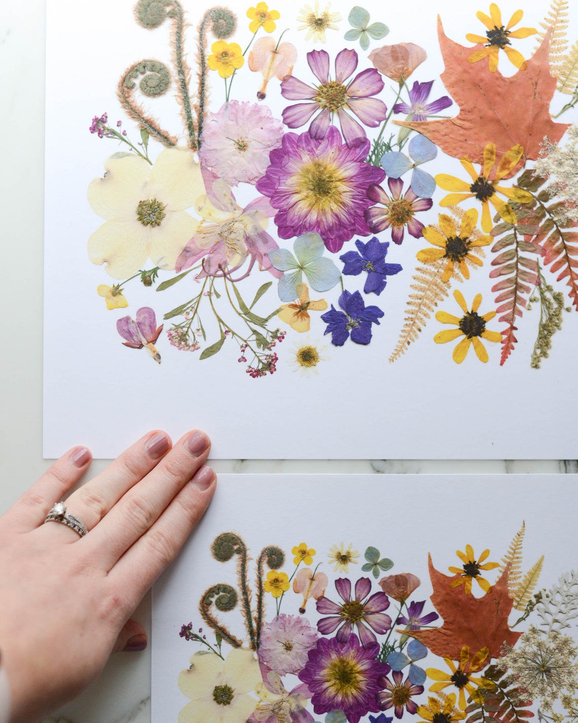 Four Seasons Limited Edition Numbered Print Artwork of - Etsy