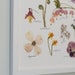April Dawn | Print Artwork of Pressed Spring Flowers | 100% Cotton Rag ...