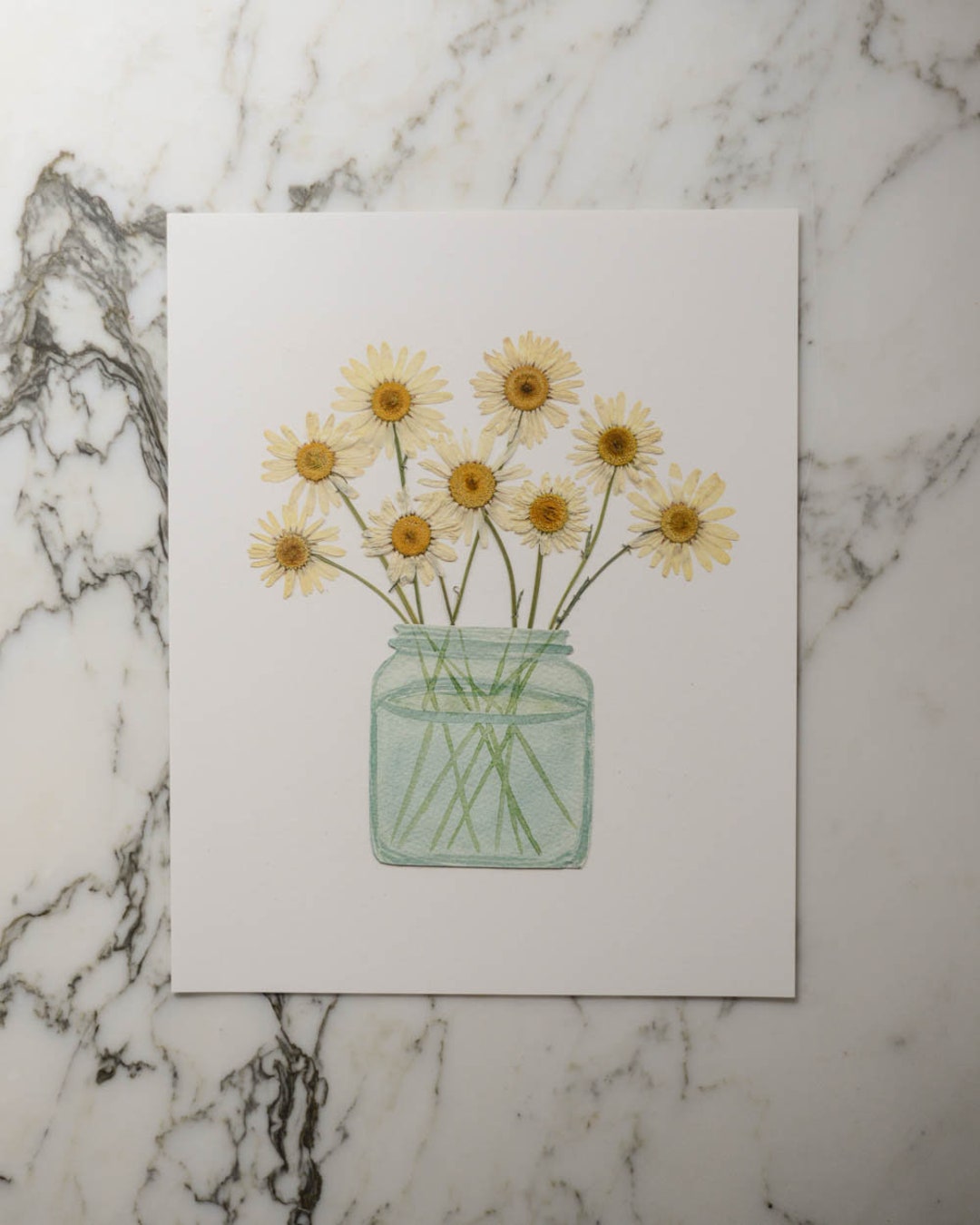 Little Flower Joys - Daisy | Print Reproduction Artwork of Pressed ...