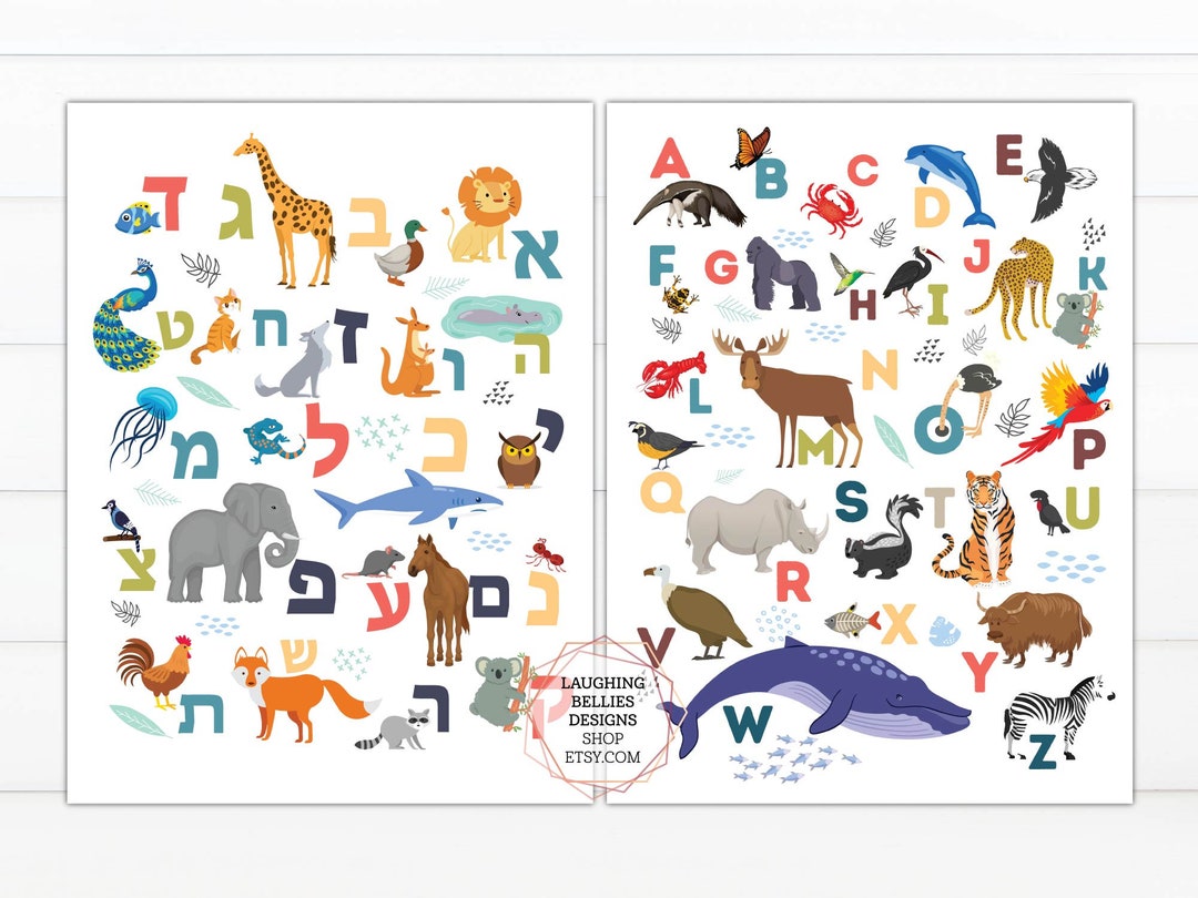 Hebrew Alphabet Poster Chart With Pictures Kids ABC Hebrew Aleph Bet - Etsy