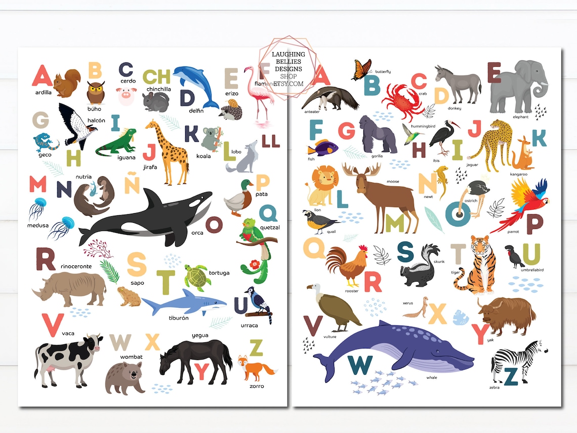 English & Spanish Animal ABC Alphabet for Children | Spanish Nursery ...