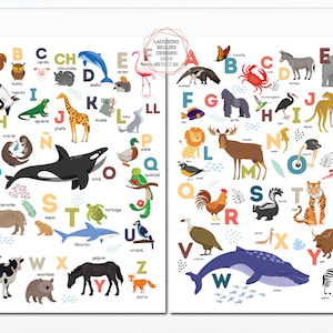 English & Spanish Animal ABC Alphabet for Children | Spanish Nursery ...