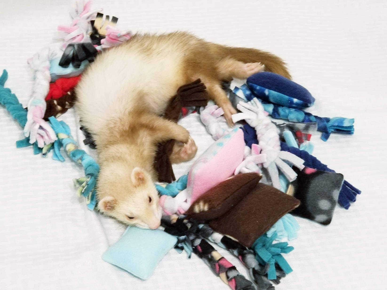 Ferret Toys