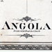 1880 Town Map of Angola Steuben County Indiana - Etsy