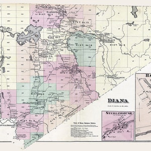 1875 Map of Diana Township Lewis County New York - Etsy