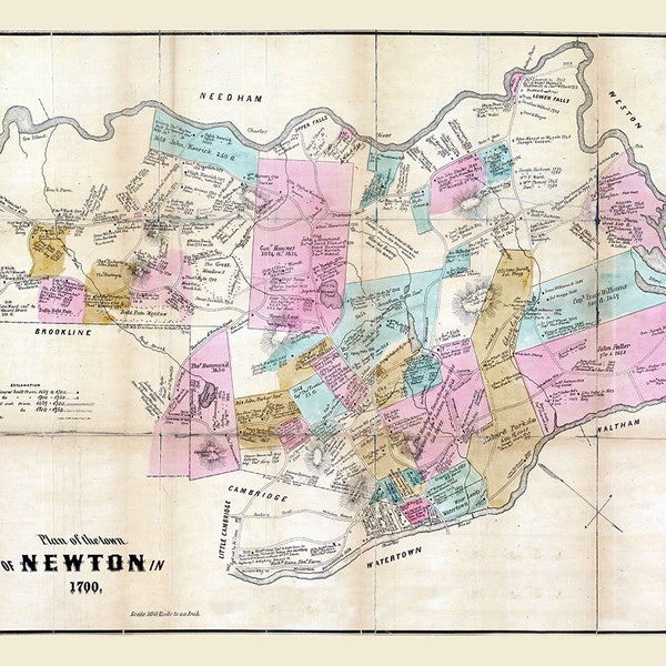 Newton Ma - Etsy