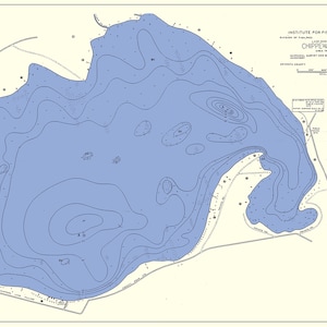 1952 Map of Chippewa Lake Mecosta County Michigan - Etsy