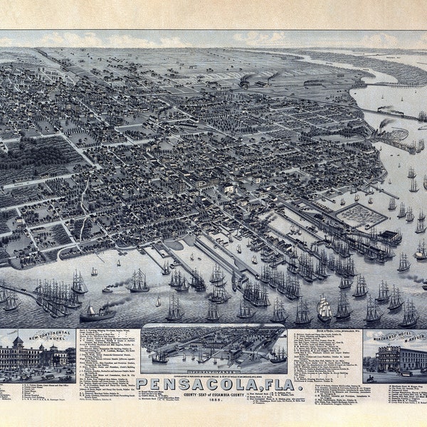 Panoramic Map of Florida - Etsy