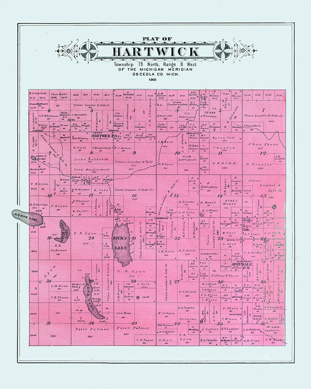 1900 Map of Hartwick Township Osceola County Michigan - Etsy