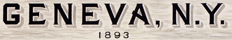 1893 Panoramic Map of Geneva New York - Etsy