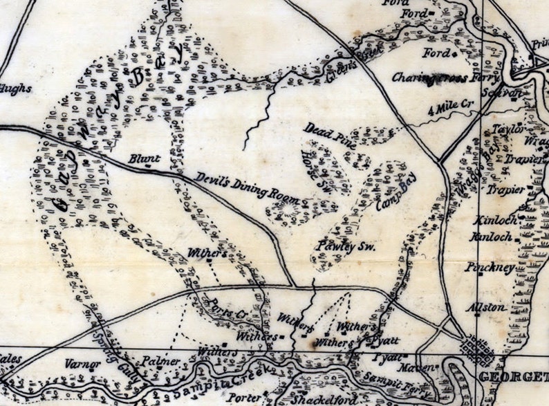 1825 Map of Georgetown District county South Carolina | Etsy