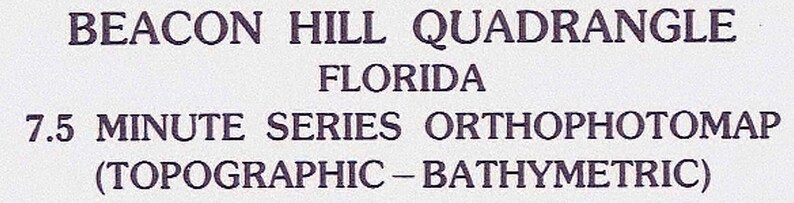 1982 Nautical Map of Beacon Hill Florida Mexico Beach | Etsy