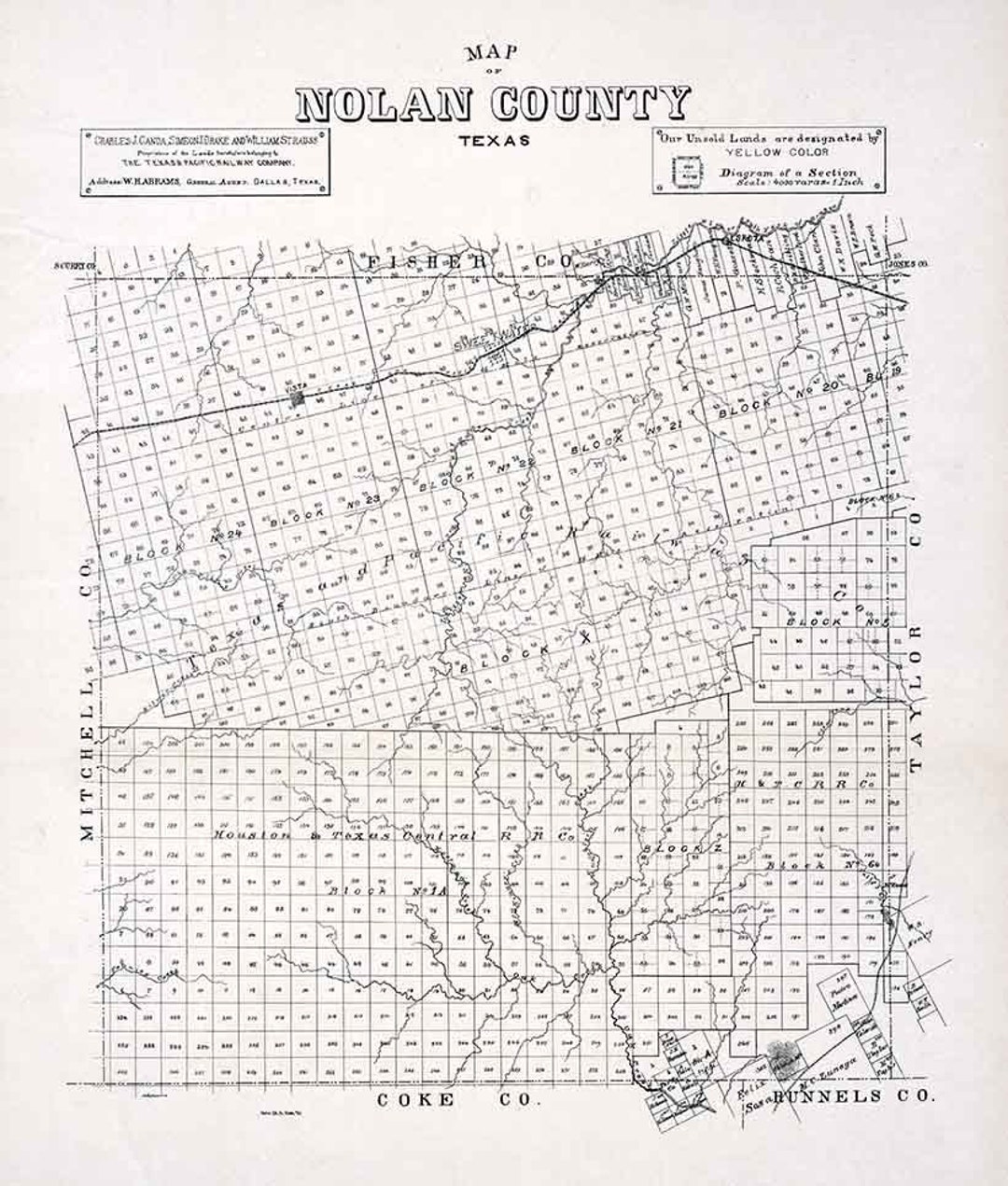 1890 Farm Line Map of Nolan County Texas - Etsy