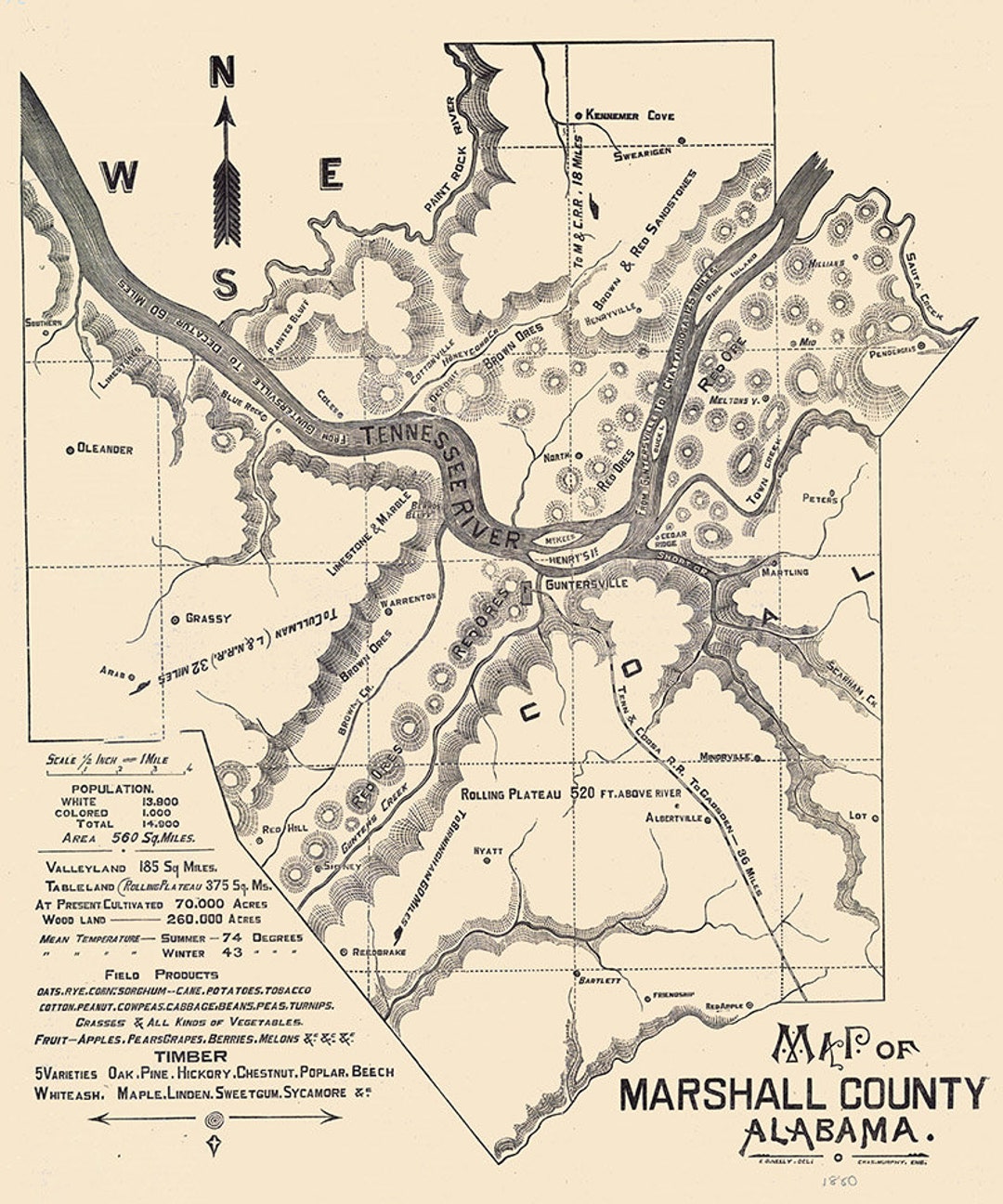 1880 Map of Marshall County Alabama - Etsy