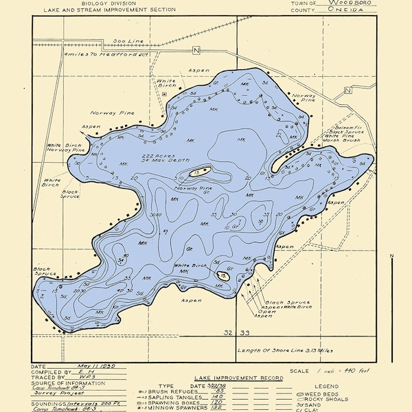 Oneida Lake Map - Etsy