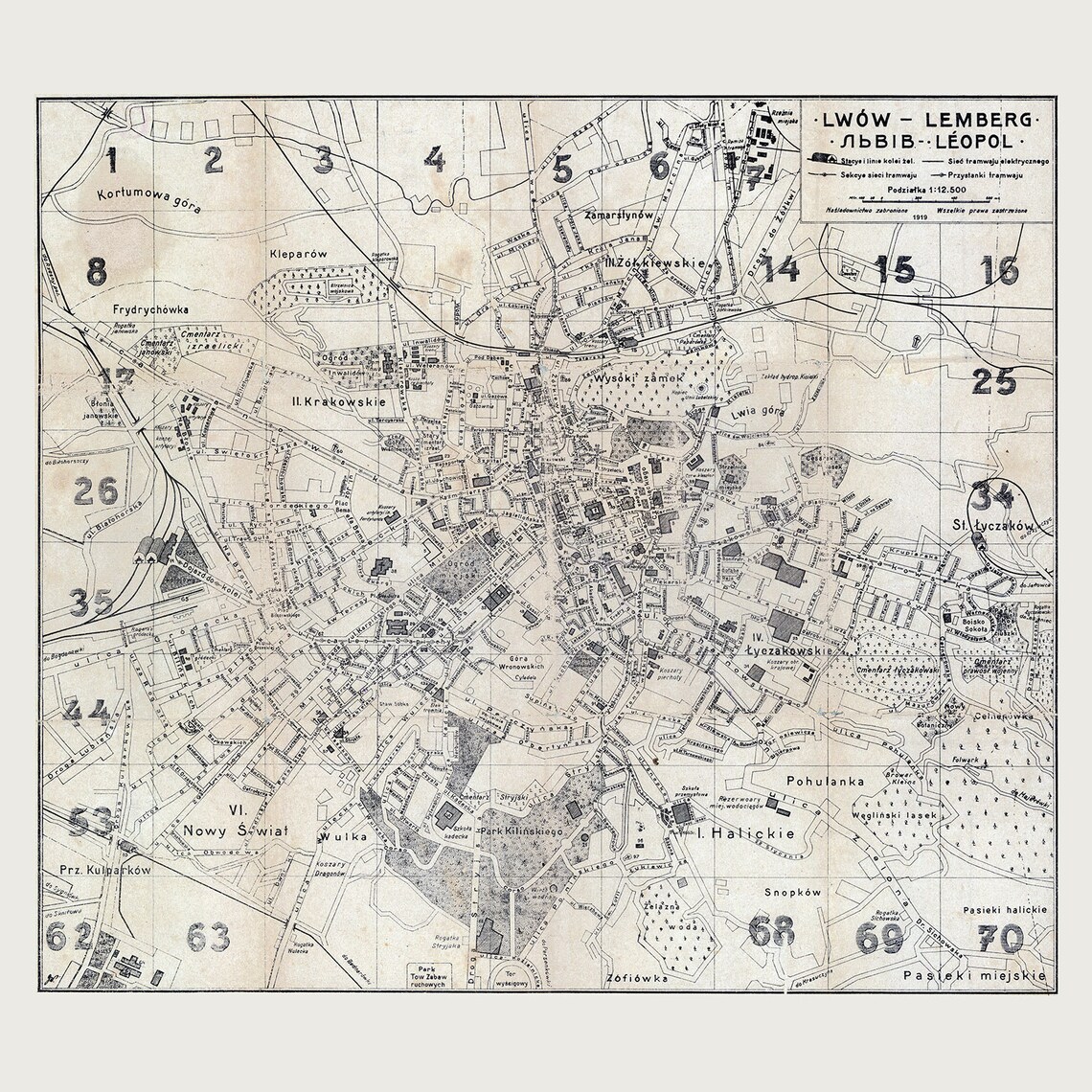 1919 Town Map of Lemberg Ukraine Lwow Galicia - Etsy Finland