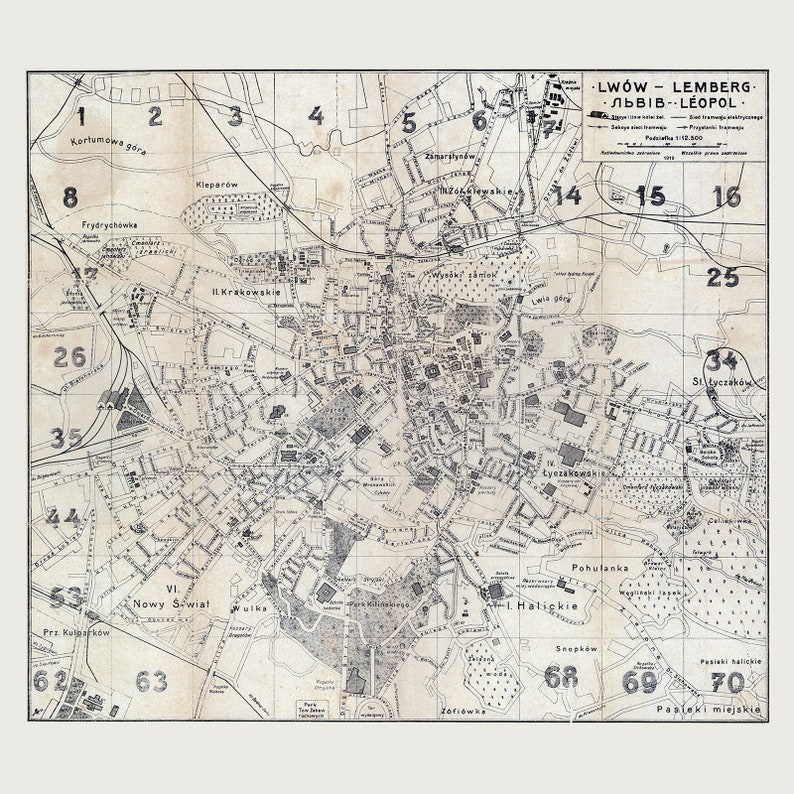 1919 Town Map of Lemberg Ukraine Lwow Galicia - Etsy