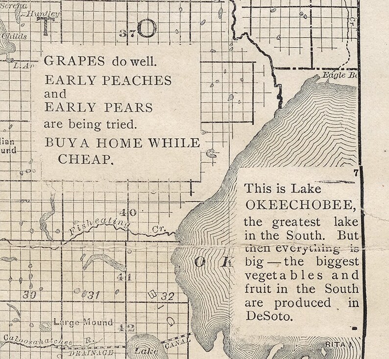 1860 Map of South Florida Townships Section Details - Etsy