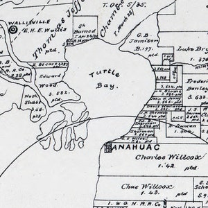 1879 Map of Chambers County Texas - Etsy